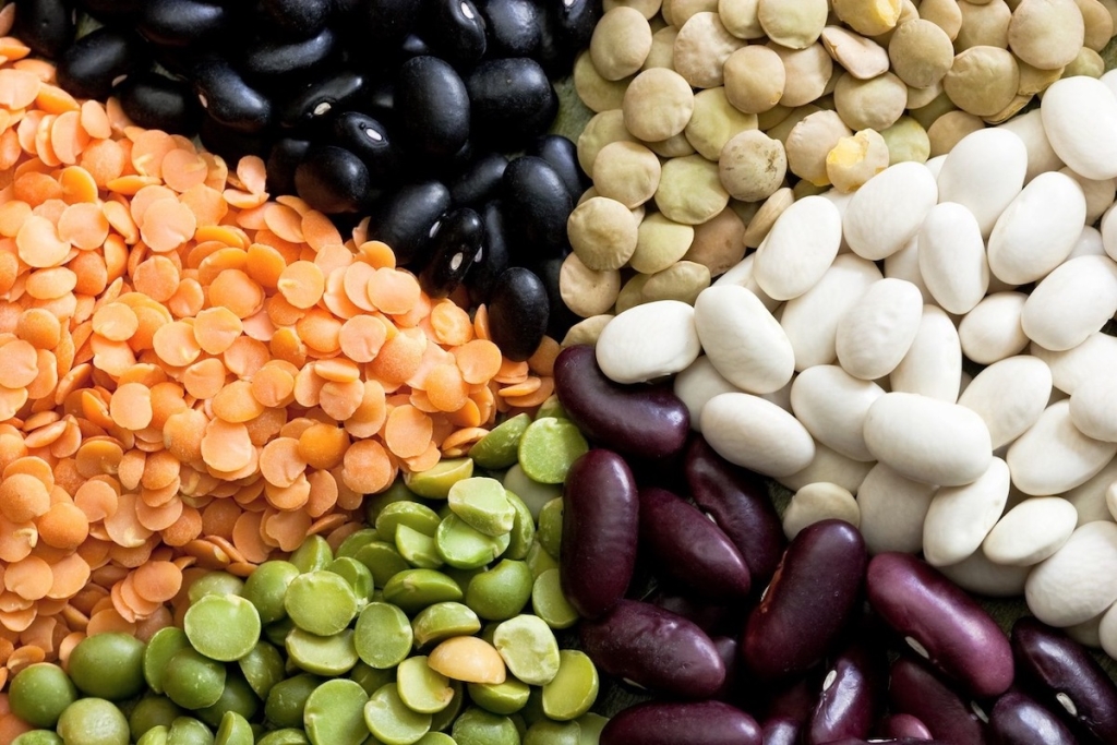10 Healthy High Protein Foods
